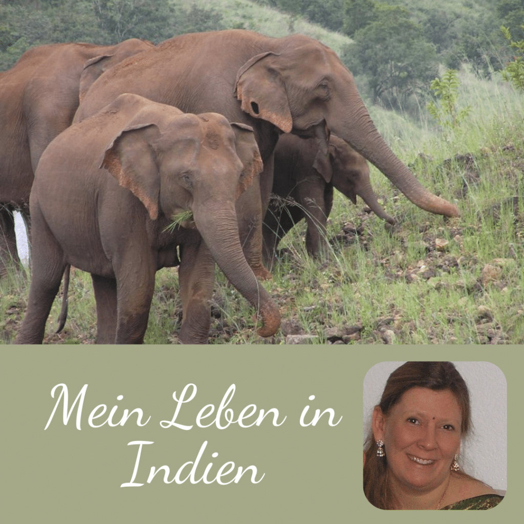 Ganges, der heilige Fluss Indiens - Irène in Indien