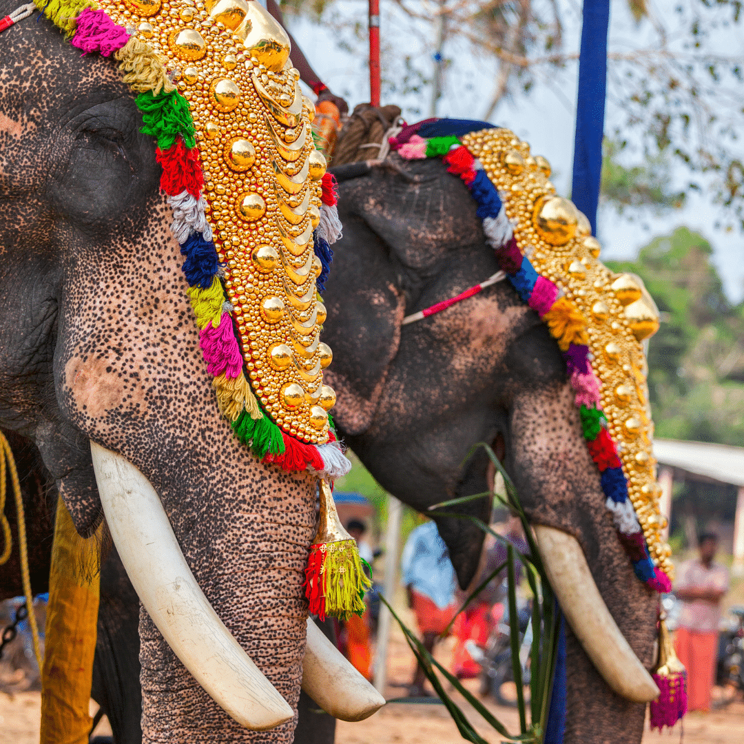 Onam – Das farbenfrohe Erntefest aus Kerala